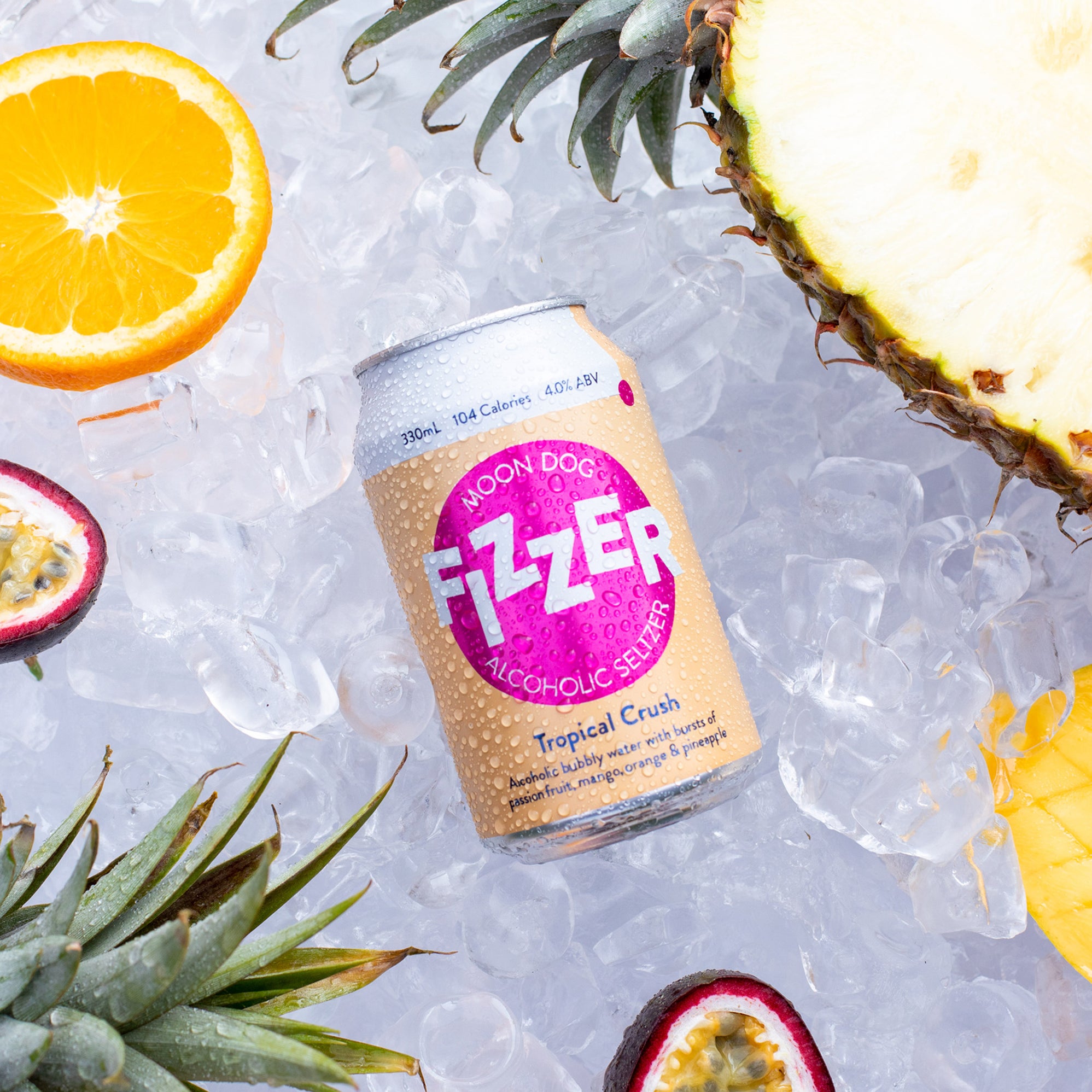 Moon Dog Fizzer Alcoholic Seltzer — Moon Dog Craft Brewery